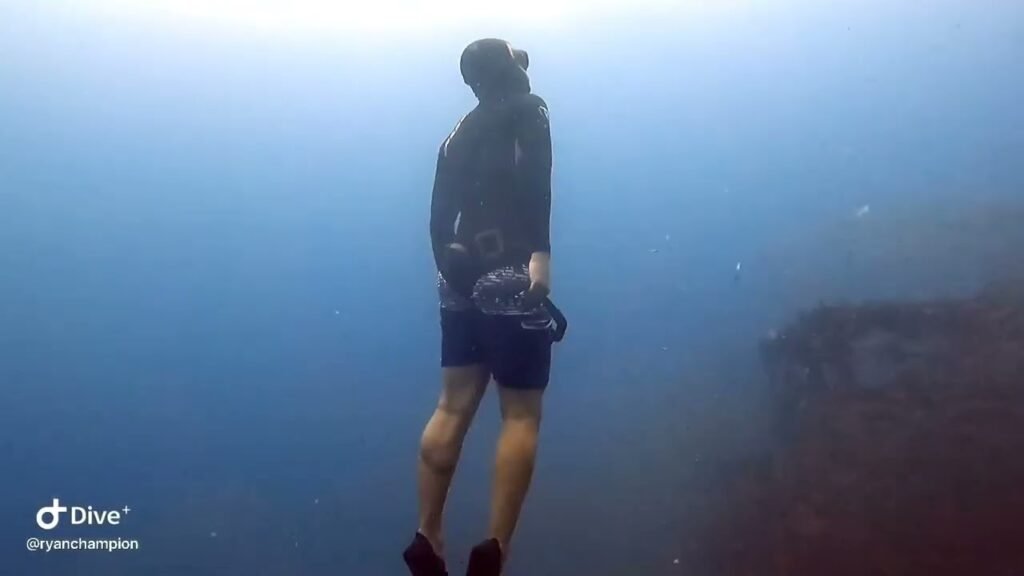 Free diving weight belts: All you need to know - dnfreedivers